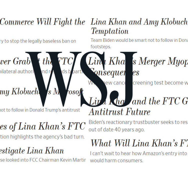 American Economic Liberties Project